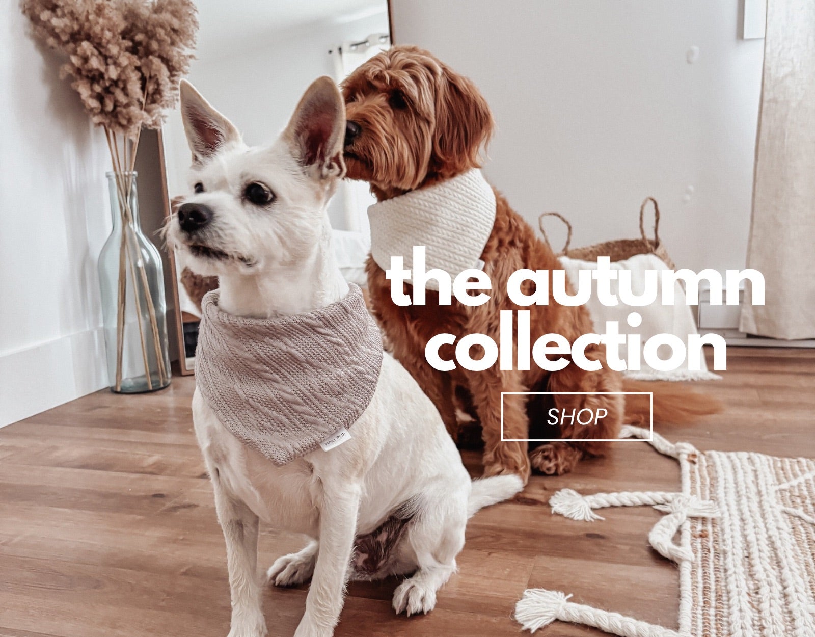 HALIPUP - Pretty Practical Pup Products – halipup